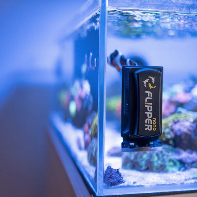 FLIPPER reemplaza la cuchilla Flip Fish Tank Brush... – Grandado