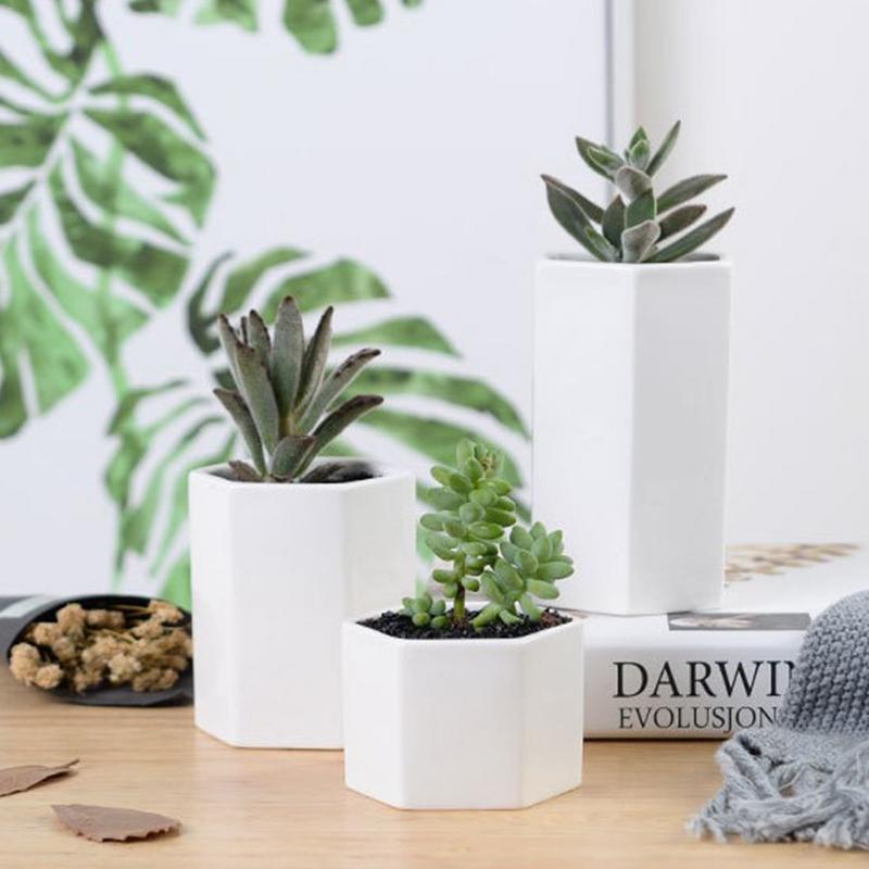 Succulent Flower Pot Fleshy Plants Hexagonal Potte... – Vicedeal