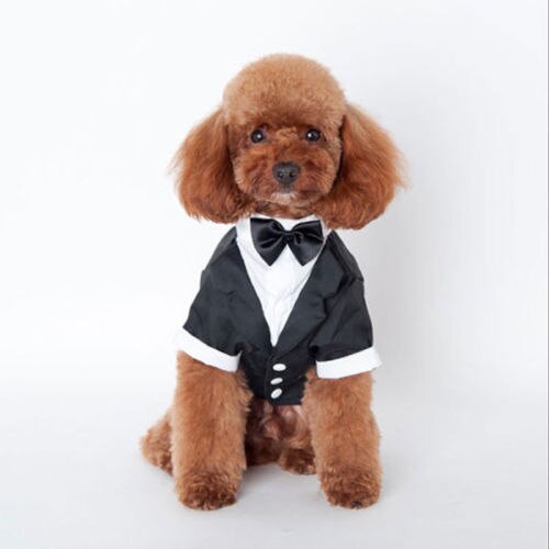 Knappe Mode Solid Leuke Pet Hond Kat Kleding Prins... – Grandado