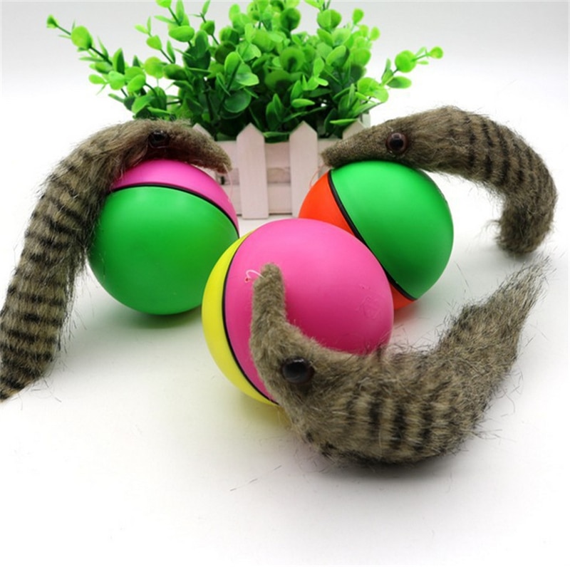 Beaver Weasel Rolling Motor Ball Pet Cat Dog Kids ... – Grandado
