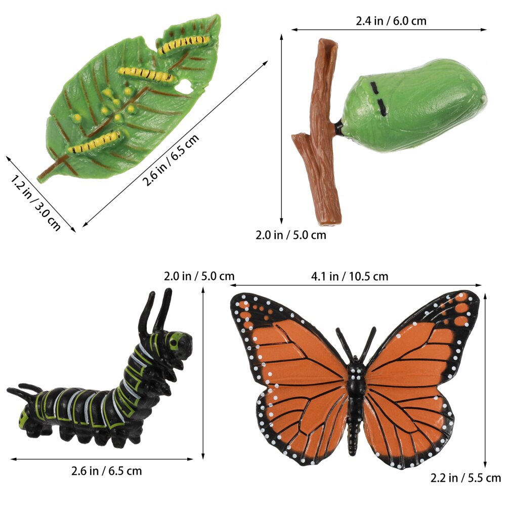 4Pcs Simulation Butterflies Life Cycle Figurines K... – Grandado