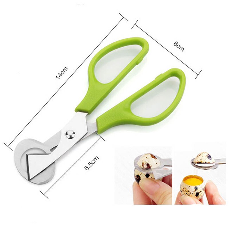 Bird Tool Cracker Quail Egg Pigeon scissor Cutter ... – Grandado