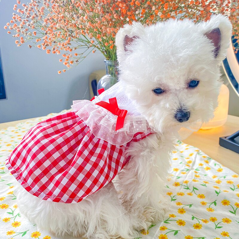 PETCIRCLE-ropa a cuadros con lazo para perro, vest... – Grandado