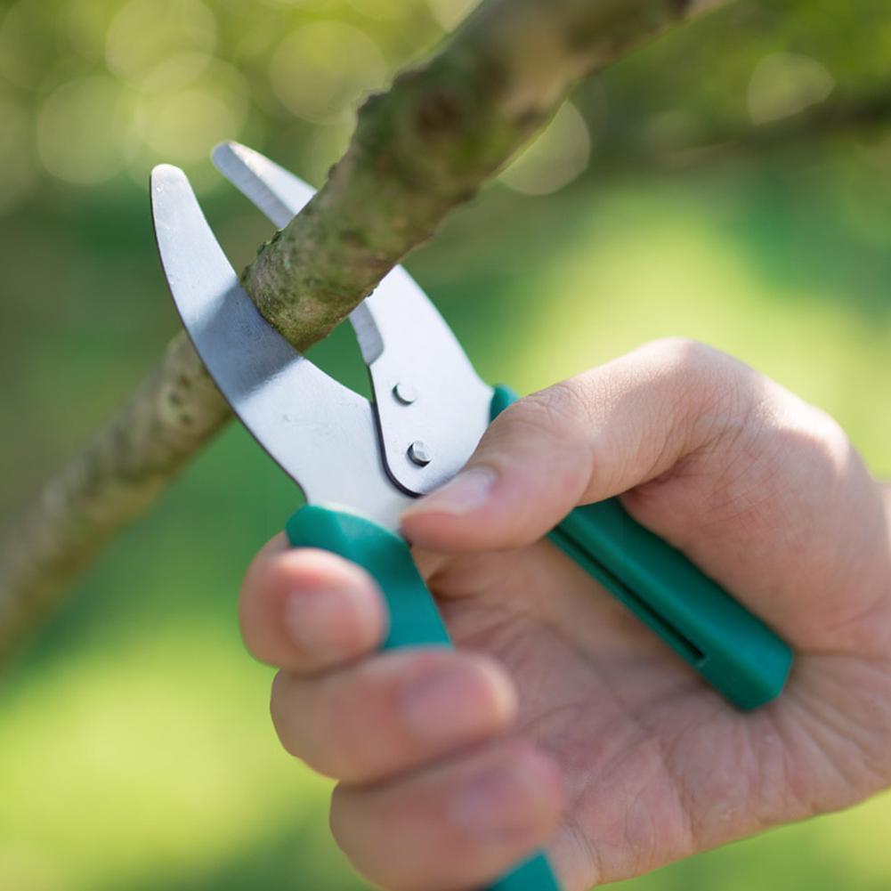 Ring Barking Cutter Scissor Sharp Stripping Peelin... – Grandado