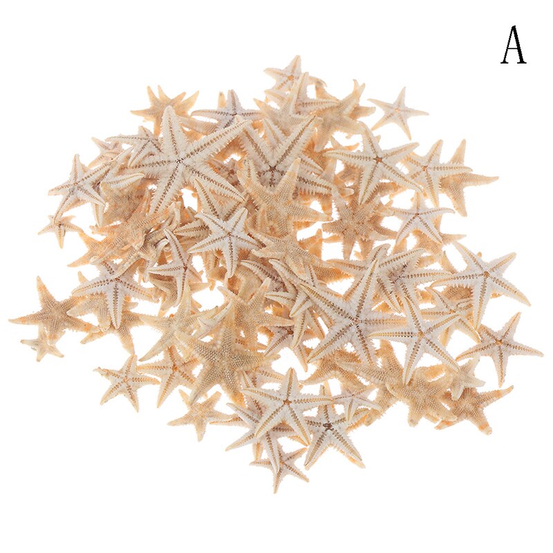 Mini estrellas de mar decorativas, decoración arte... – Grandado