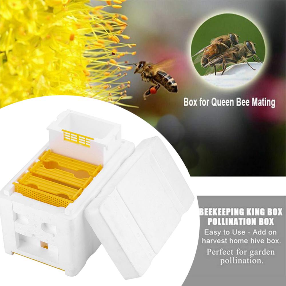 Bee Hive Beekeeping King Box Pollination Box Foam ... – Vicedeal