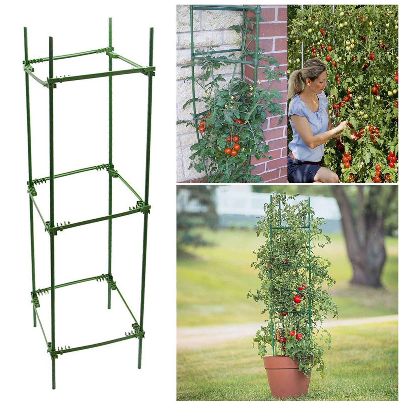 12Pcs Garden Reusable Expandable Trellis Connector... – Vicedeal