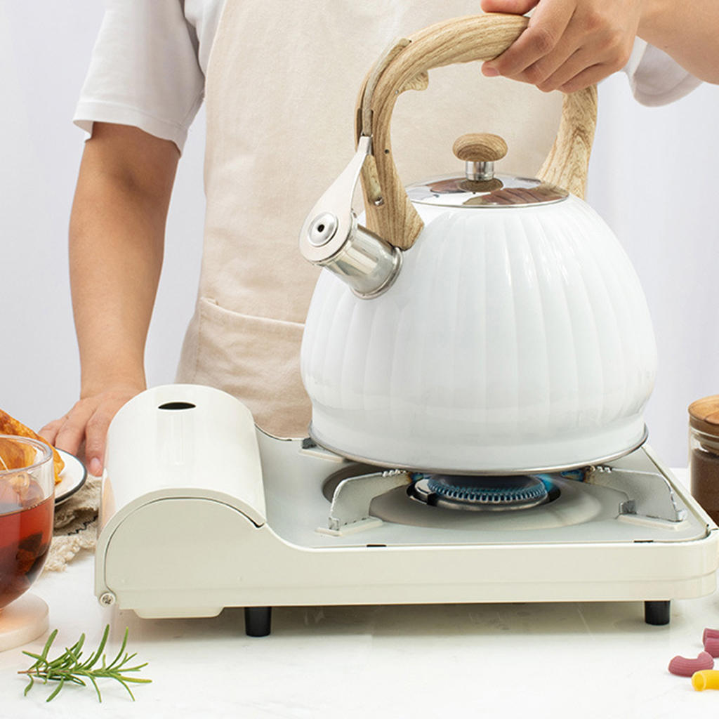 Fluitje Theepot Efficiënte Geleiding Roestvrij Sta... – Vicedeal