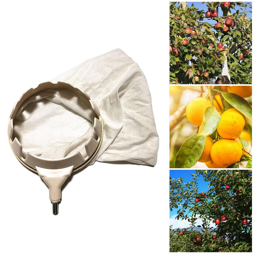 Metal Fruit Picker Convenient Fabric Orchard Garde... – Grandado