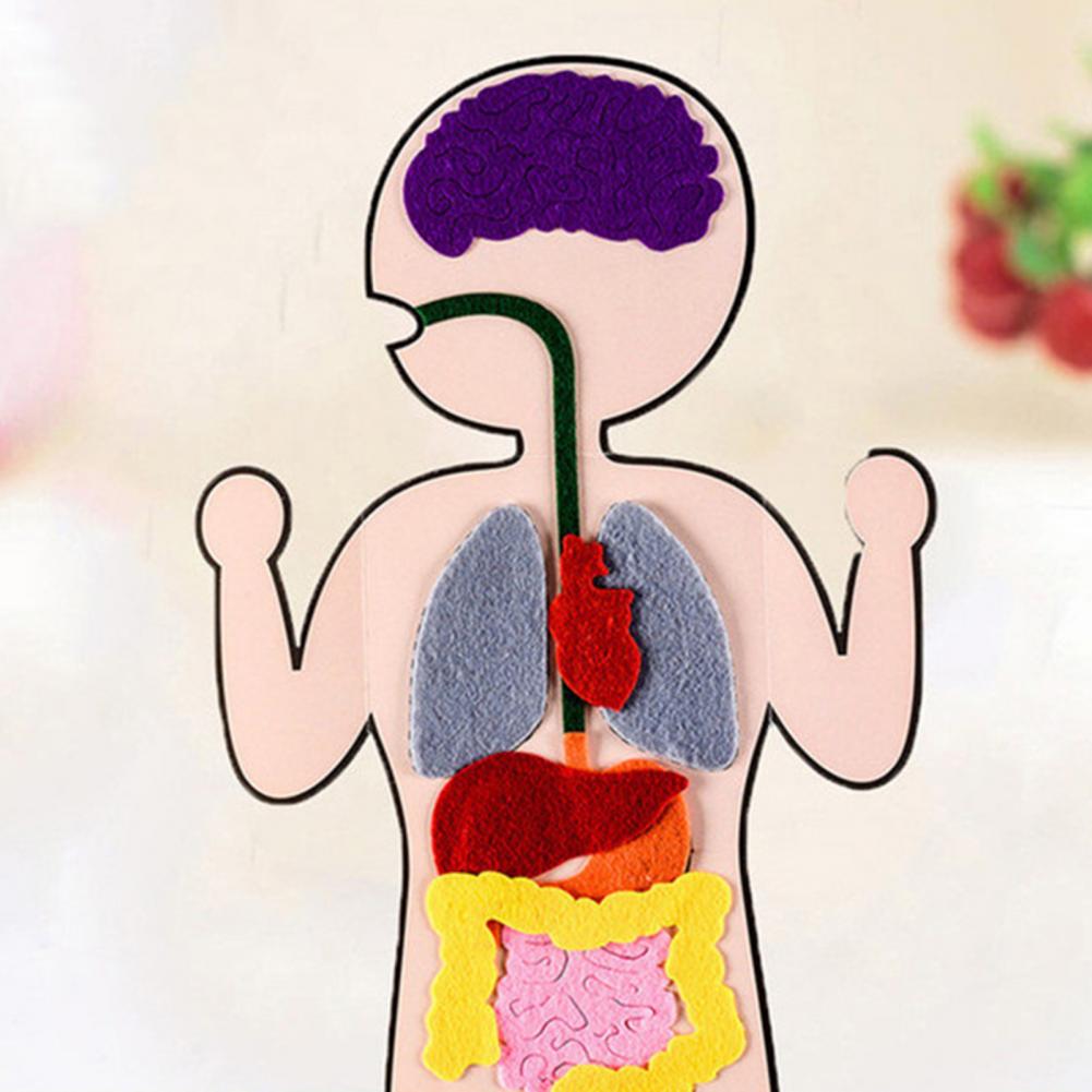 1 Set Interactive Premium Texture Vivid Preschool ... – Grandado