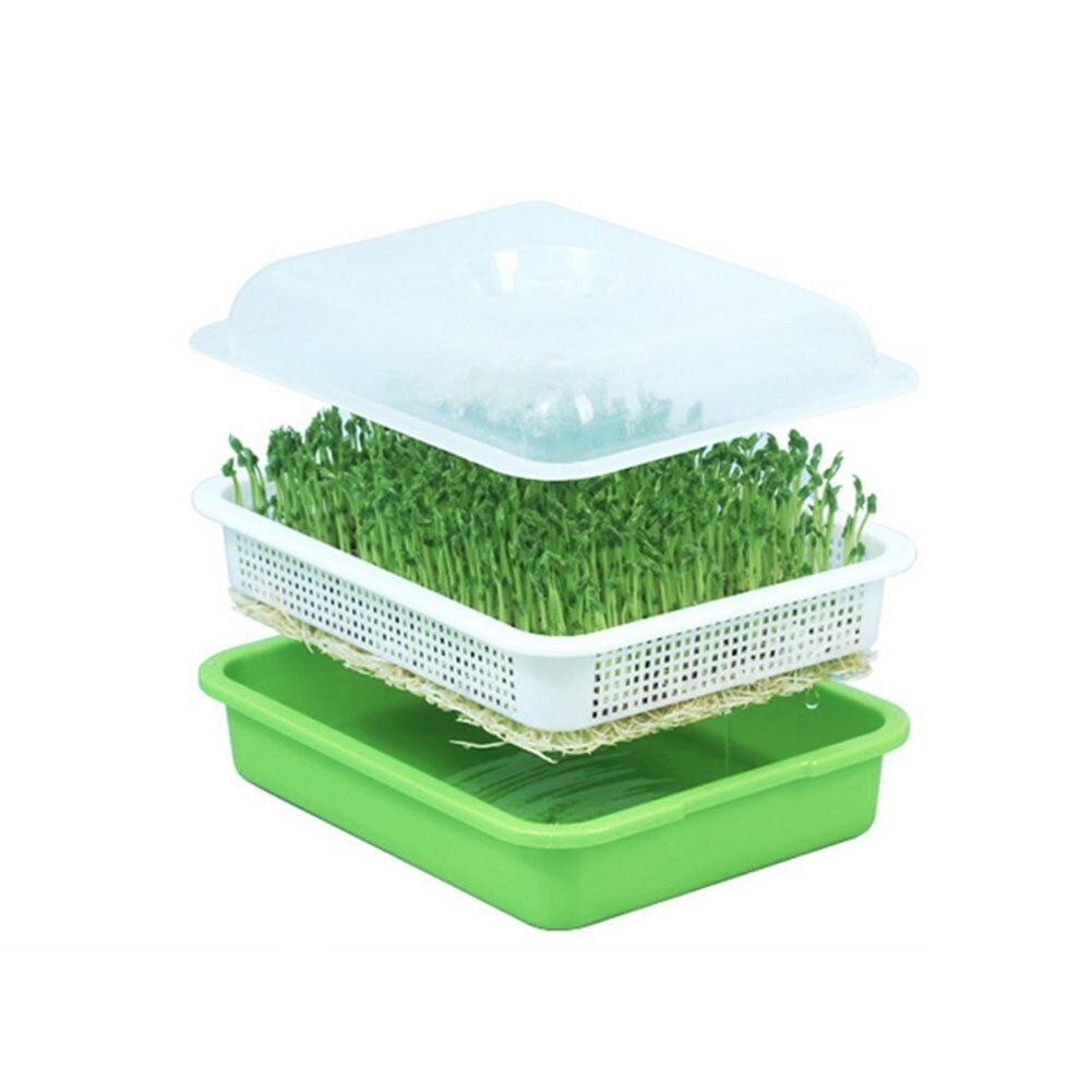 Garden Soil Free With Lid Grower Small Holes Sprou... – Grandado