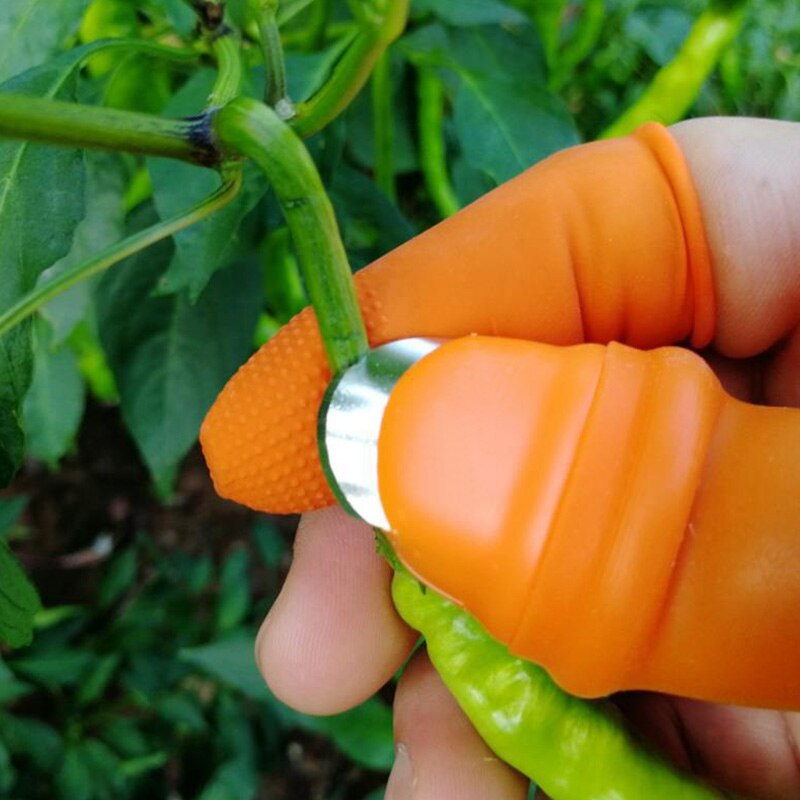 Farm Vegetable Fruit Picker Pickle Pepper Pickle T... – Grandado