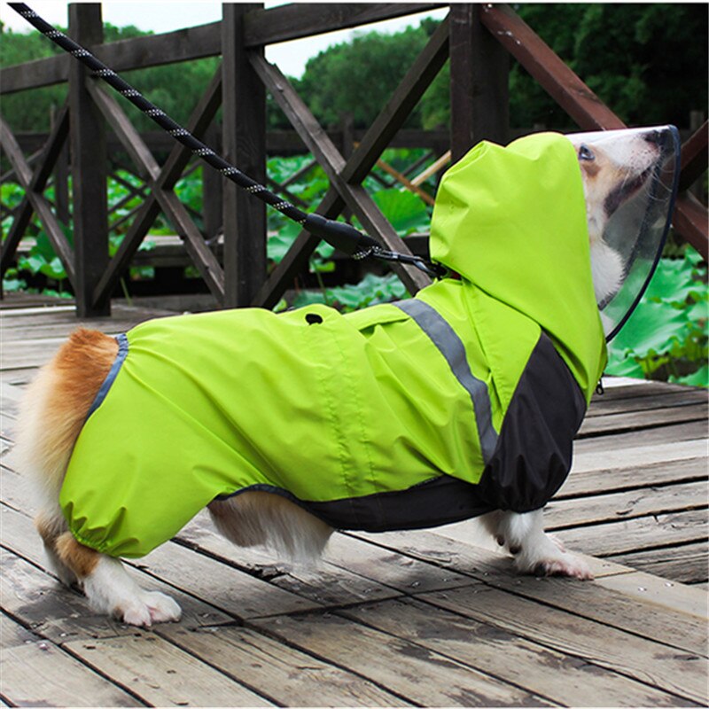 Welsh Corgi Dog Raincoat Reflective Waterproof Clo... – Grandado
