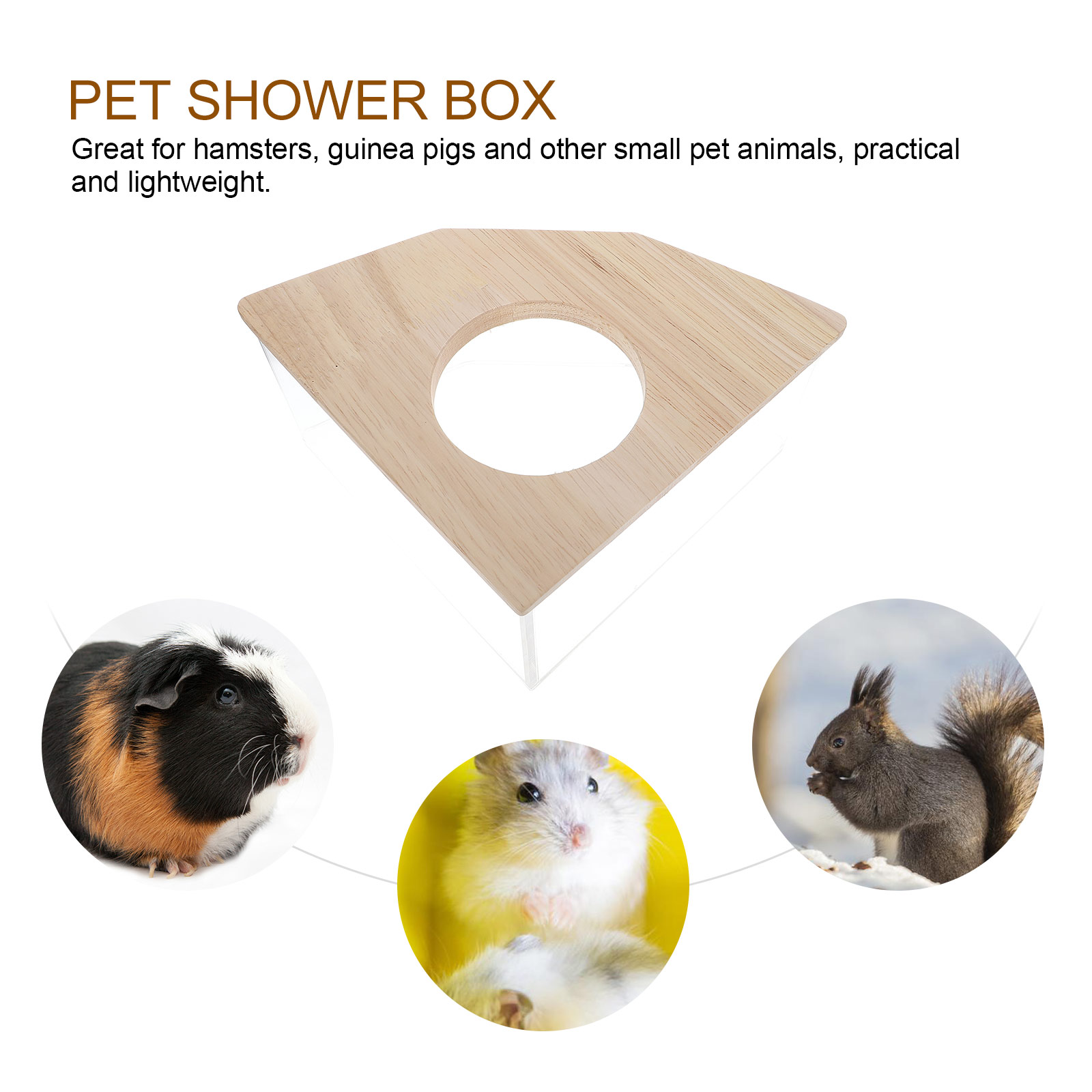 Household Sand Bath Transparent Chinchilla Bathtub... – Grandado
