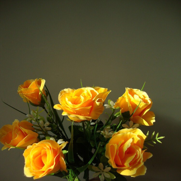 Special Northern European-Style INS Imitation Flow... – Grandado