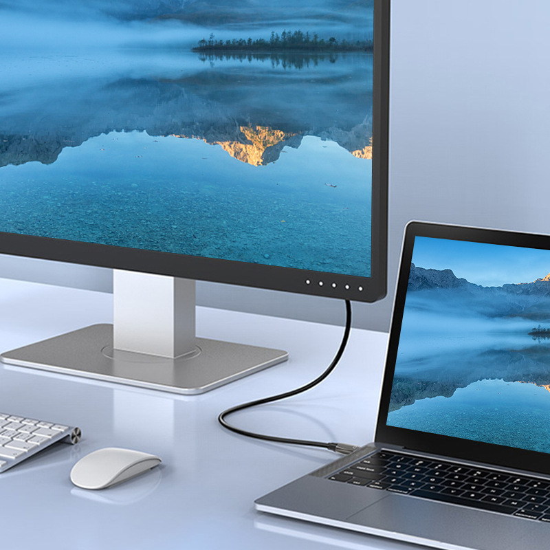 Type C USB to Displayport 8K Thunderbolt 3 to DP 8... – Vicedeal