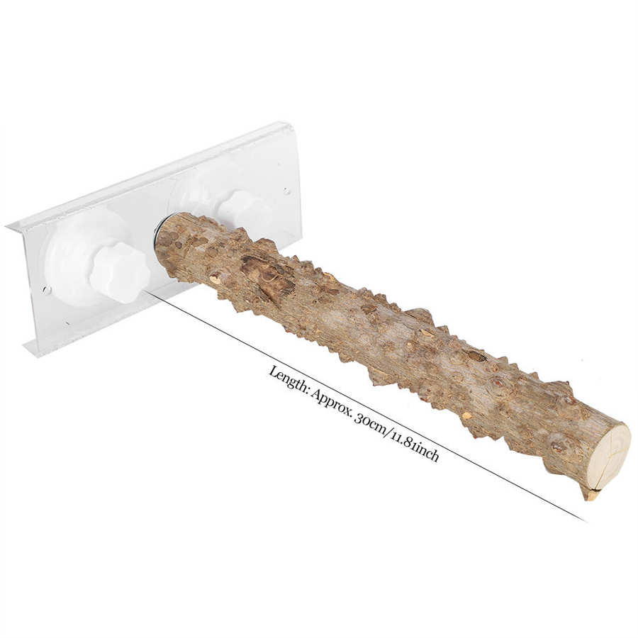 Parrots Pet Standing Rod Parrots Outdoor Portable ... – Vicedeal