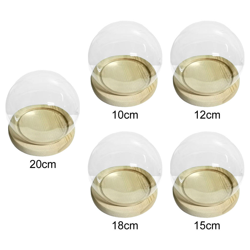 Glass Dome Display Wood Cork Bell Jar Cover Cloche... – Grandado