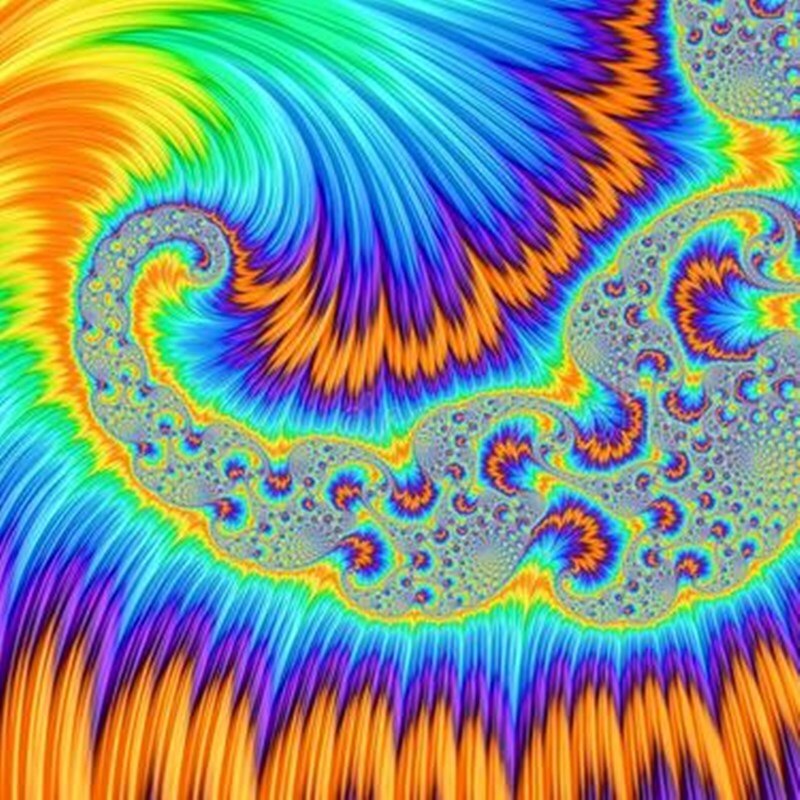 5 Pairs Vrouw Sok Kawaii Zomer Dot No Show Sokken ... – Grandado