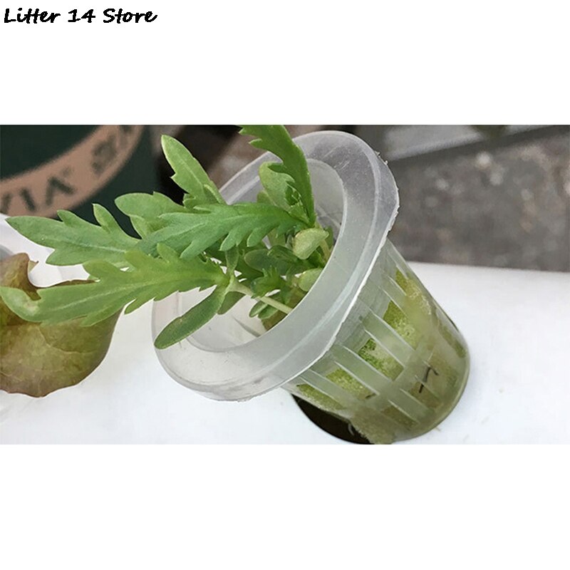 100Pcs Cultivation Seedlings Vegetables Plant Nurs... – Grandado