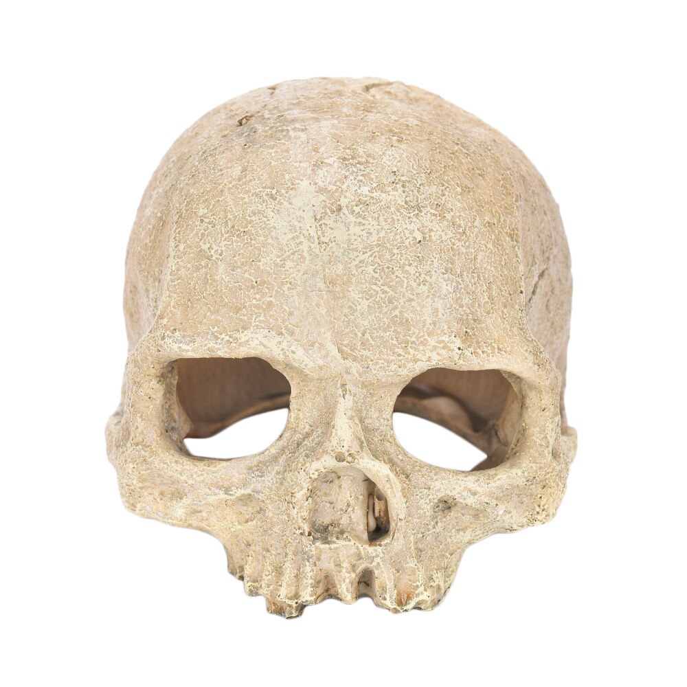 Aquarium decoration Fish Tank Aquarium Ornament Te... – Grandado