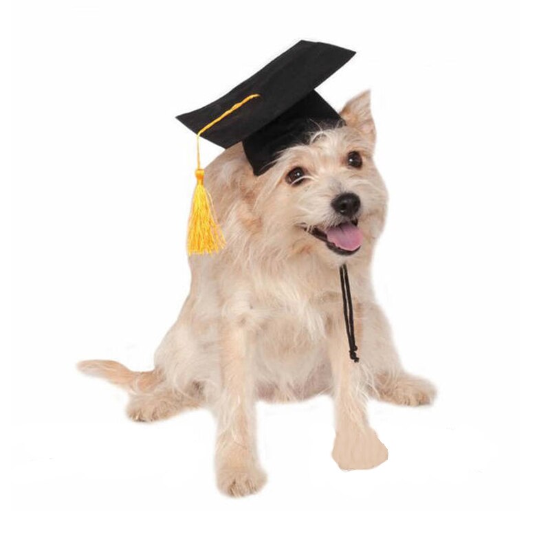 Pet Graduation Caps with Yellow Tassel Graduation ... – Grandado