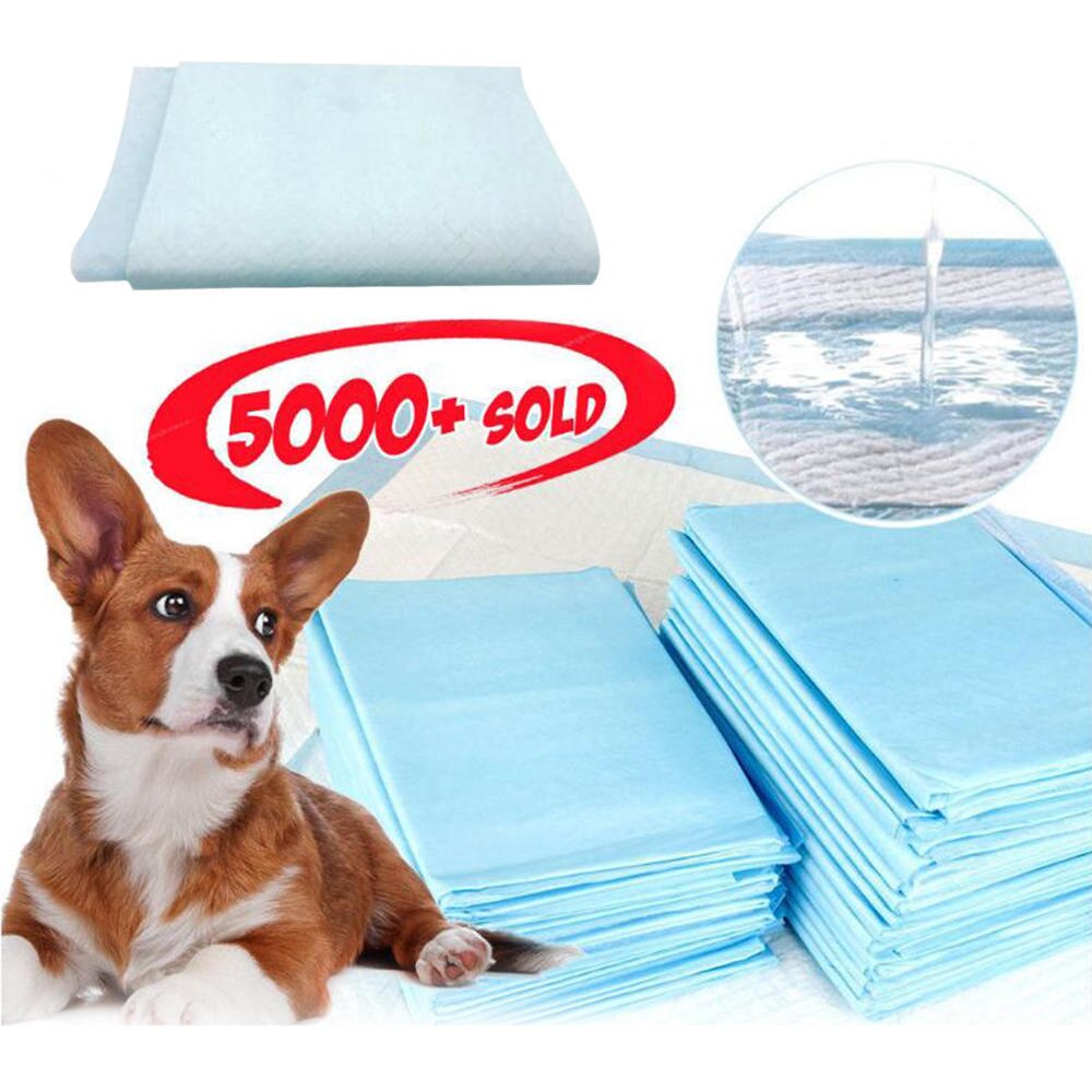 5 Pieces Of Pet Pad Can Effectively Isolate The Ba... – Vicedeal