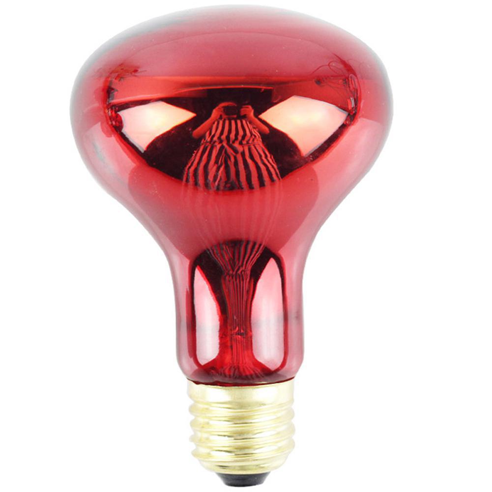 R80 100W Infrared Heating Bulb 220-240V E27 for Li... – Grandado