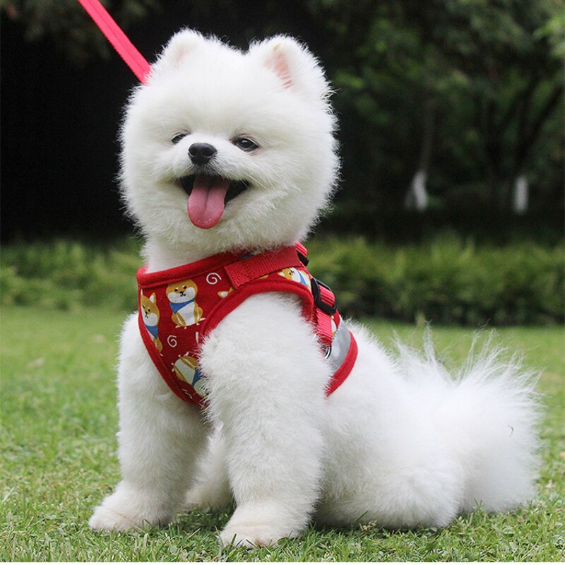 Soft Mesh Pet Puppy Dog Cat Harness Leash Set with... – Vicedeal