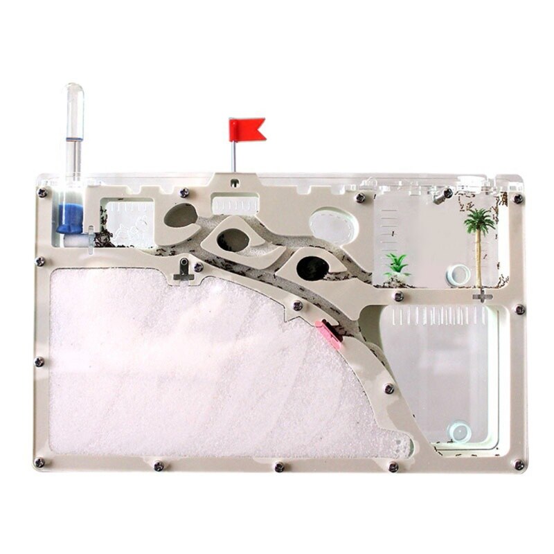 Ant Farm Spacious Habitat Ant Nest Insect Box with... – Grandado