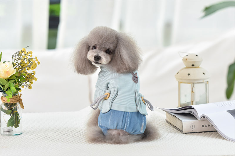 Roze Geel Groen Kleuren Hond Kleding Met Jeans Bro... – Vicedeal