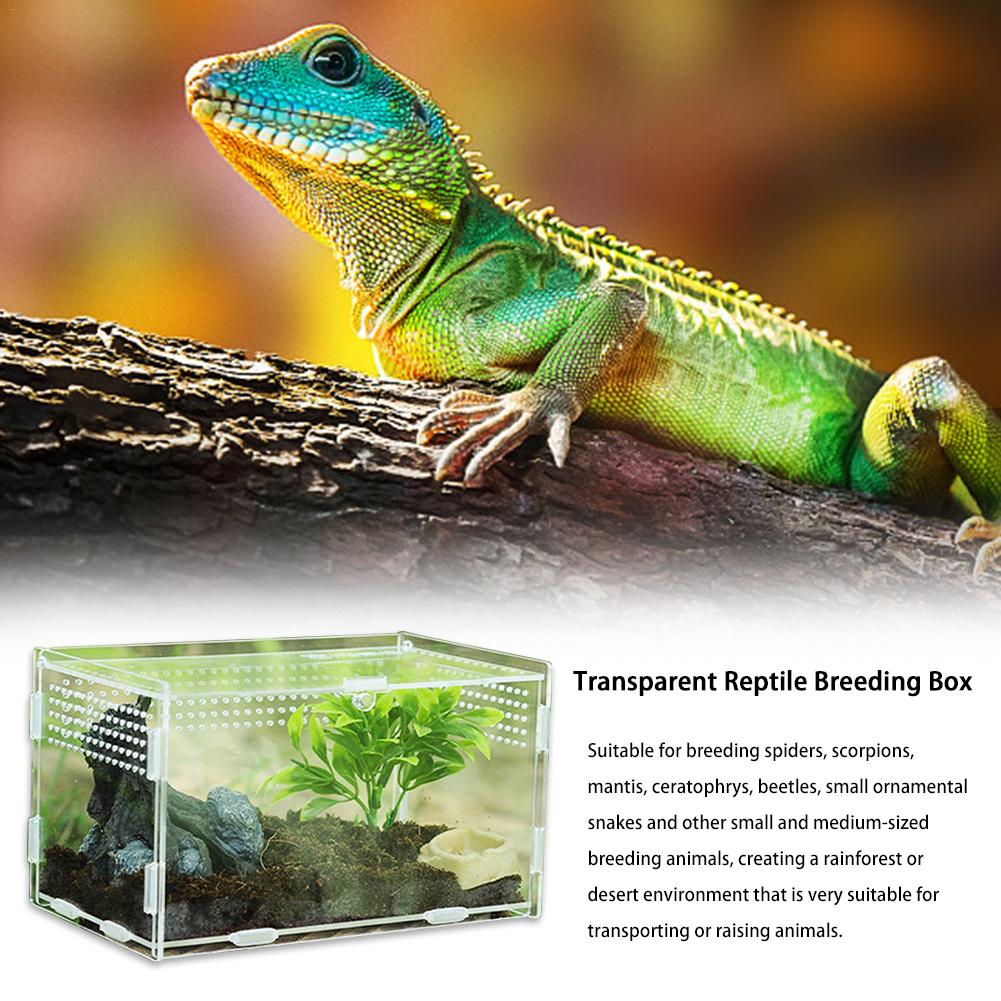 360 Degree Transparent Reptile Breeding Box Acryli... – Vicedeal