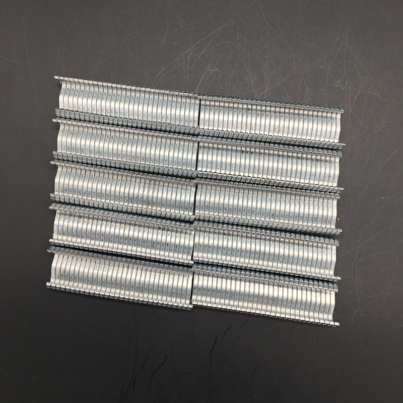 600 pcs M nail Nail cages Animal cages installed n... – Grandado