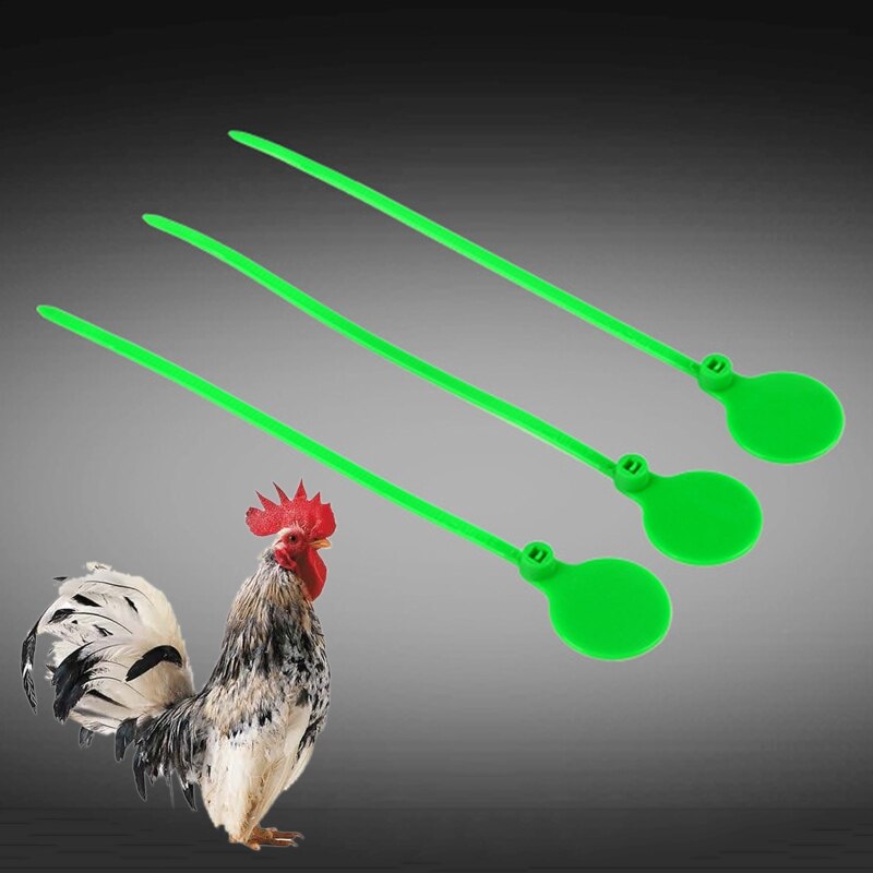 100 Pcs Poultry Identity Plate Tie Chicken Foot St... – Grandado