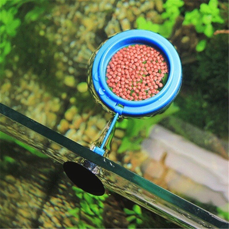 Aquarium Feeding Ring Fish Tank Station Floating F... – Grandado