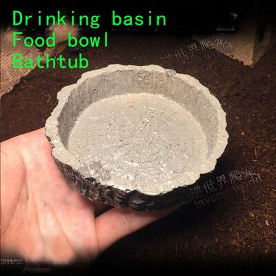Reptile box turtle food bowl (spider turtle to kee... – Grandado