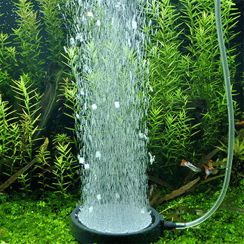 Bubble Disk Air Stone Bubble Stone Aerator for Aqu... – Grandado