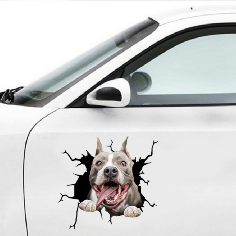 Funny Dog Head In The Crack Vinyl Car Stickers Dec... – Vicedeal