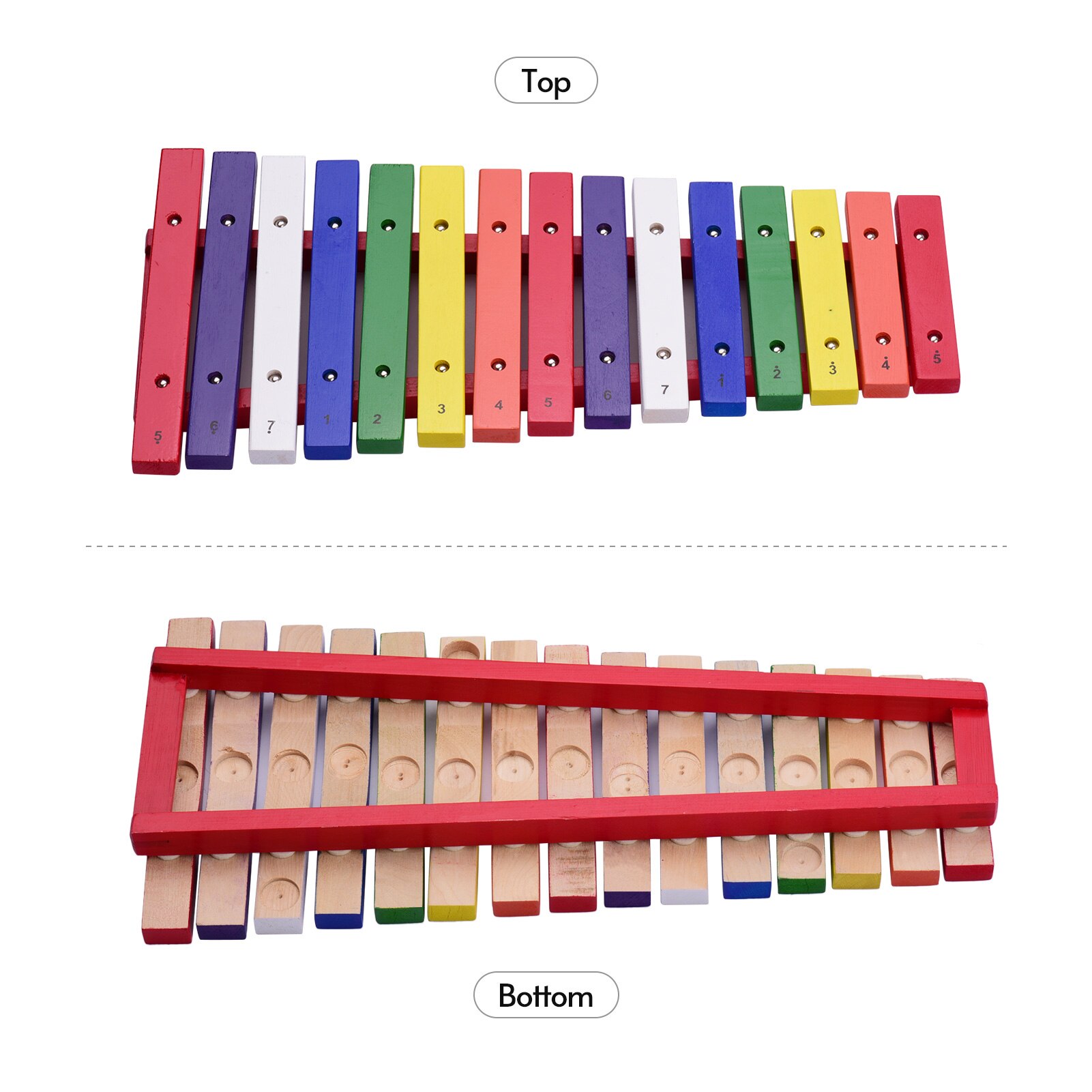 ammoon 15 Keys Xylophone Colorful Musical Percussi... – Grandado
