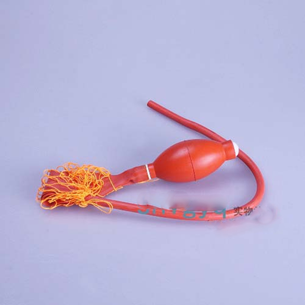 1pc Laboratory Rubber Double Bulbs Pressure Balls ... – Grandado