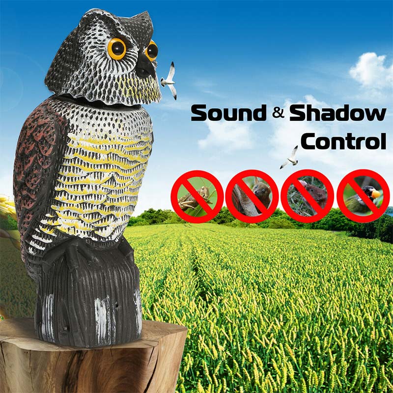 Realistic Bird Scarer Rotating Head Sound Owl Prow... – Grandado