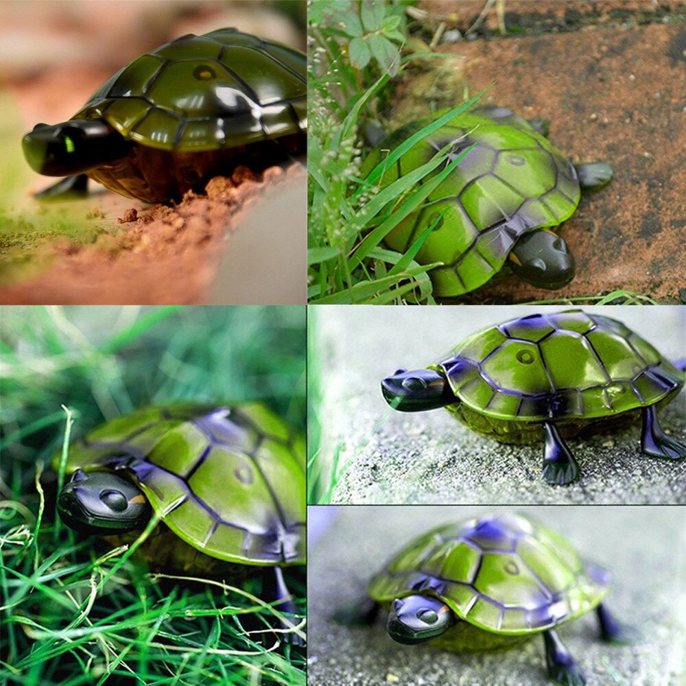 Remote control Children's Toy Biology Toys Lifelik... – Grandado