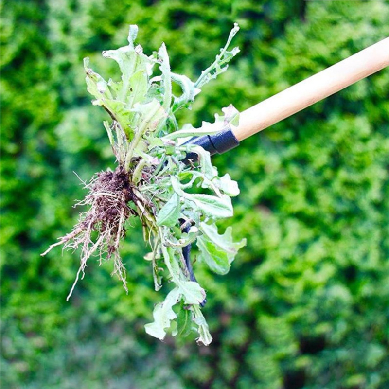 High Weeding Head Replacement Metal Weeding Device... – Vicedeal