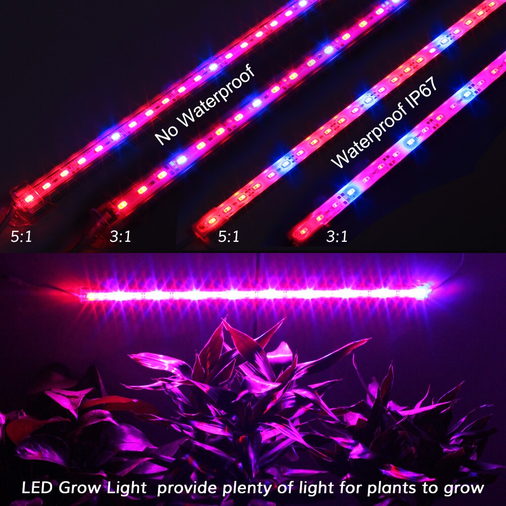 DC12V LED Grow Light 50CM With DC Plug LED Bar Lig... – Grandado