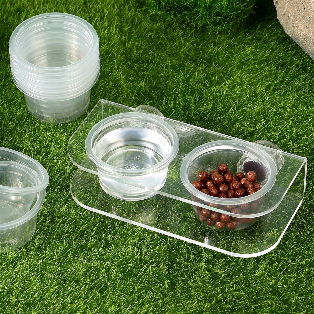 POPETPOP Reptile Feeding Dish Water Food Cups Geck... – Grandado