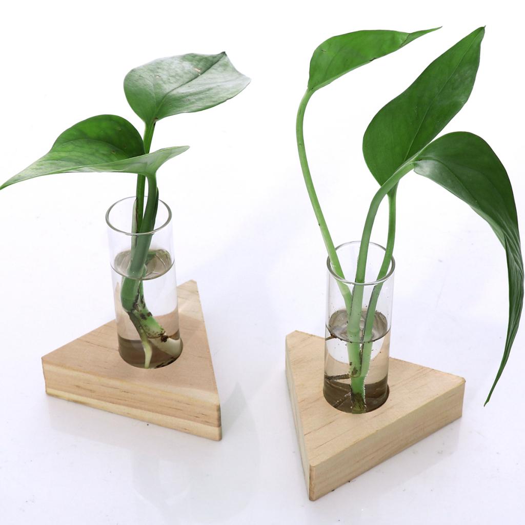 Tube Planter Plant Glass Test Tube with Wood Stand... – Grandado