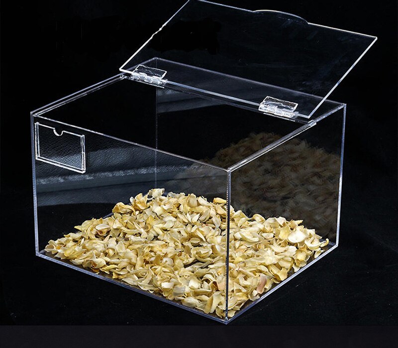 10Pcs Transparent Plastic Folding Hinges Durable C... – Grandado