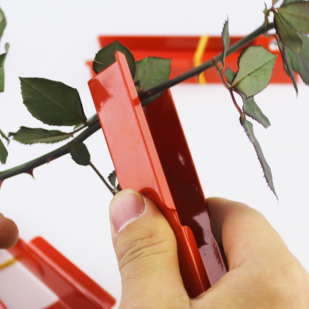 Flower Stem Burrs Pliers Cutting Tool Garden Leave... – Grandado