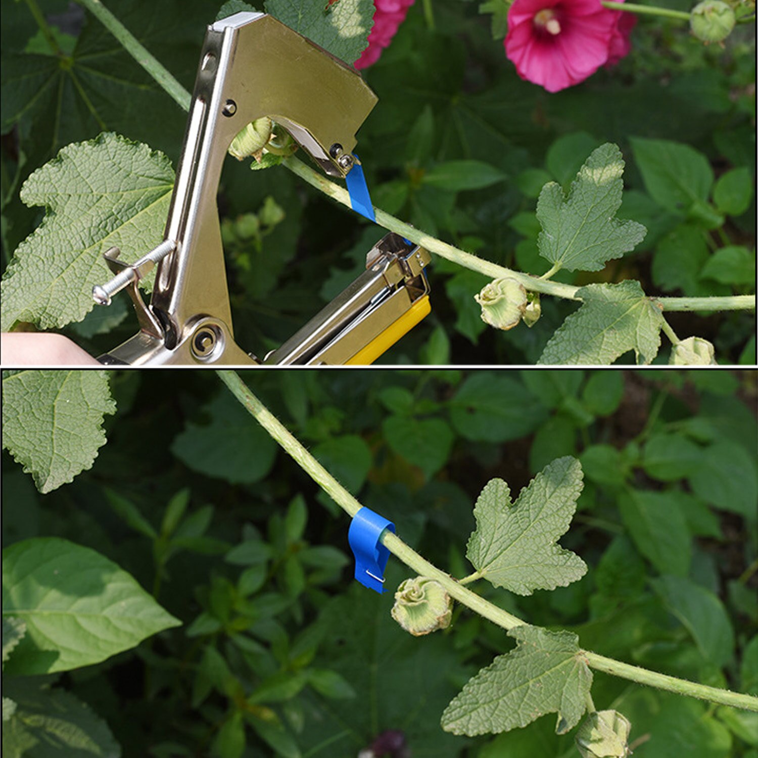 Cinta de atado a mano para ramas de plantas, herra... – Grandado