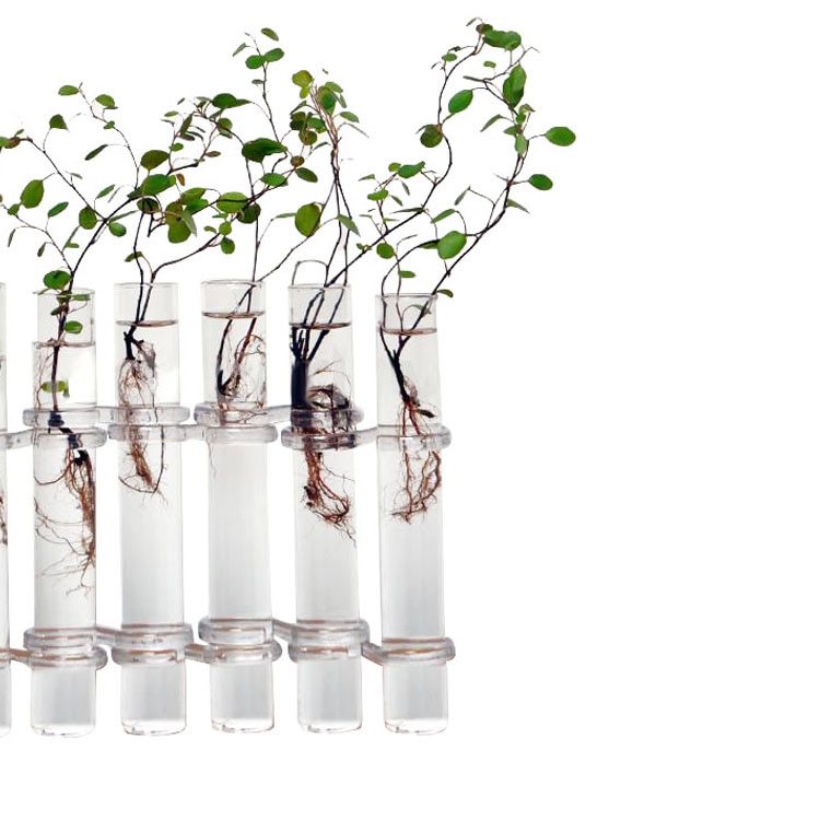 6 Glass Tubes Shape Hanging Hydroponic Flower Plan... – Grandado